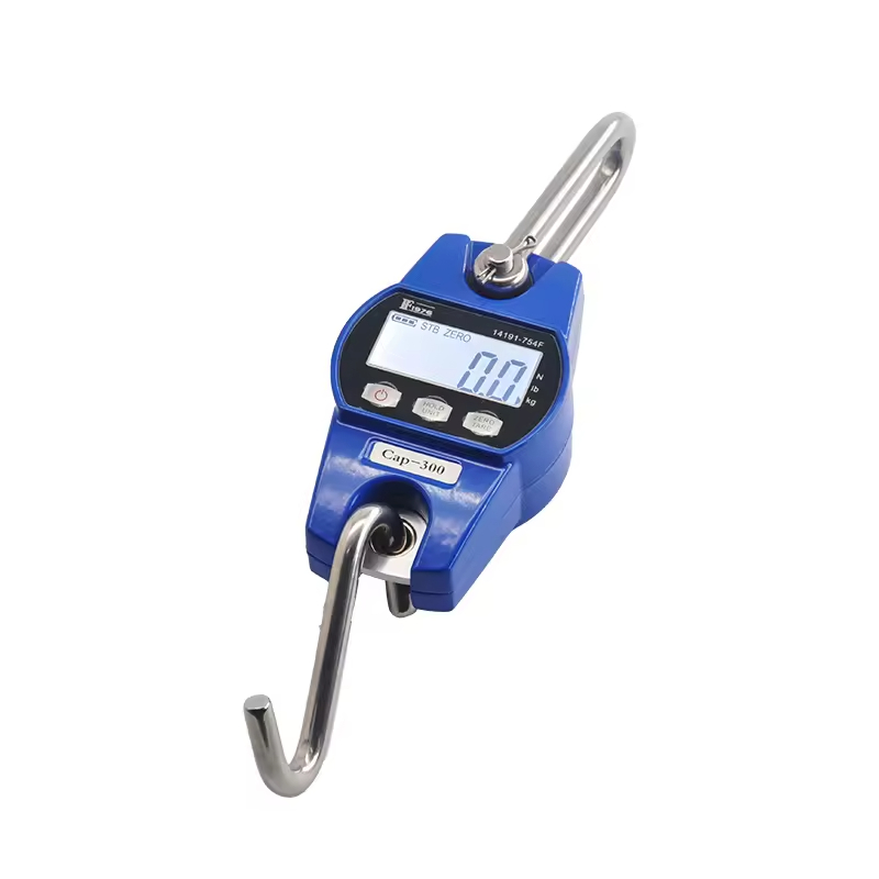 FF1976-754F Electronic Crane Scale Industrial Small 300kg Hook Scale ...